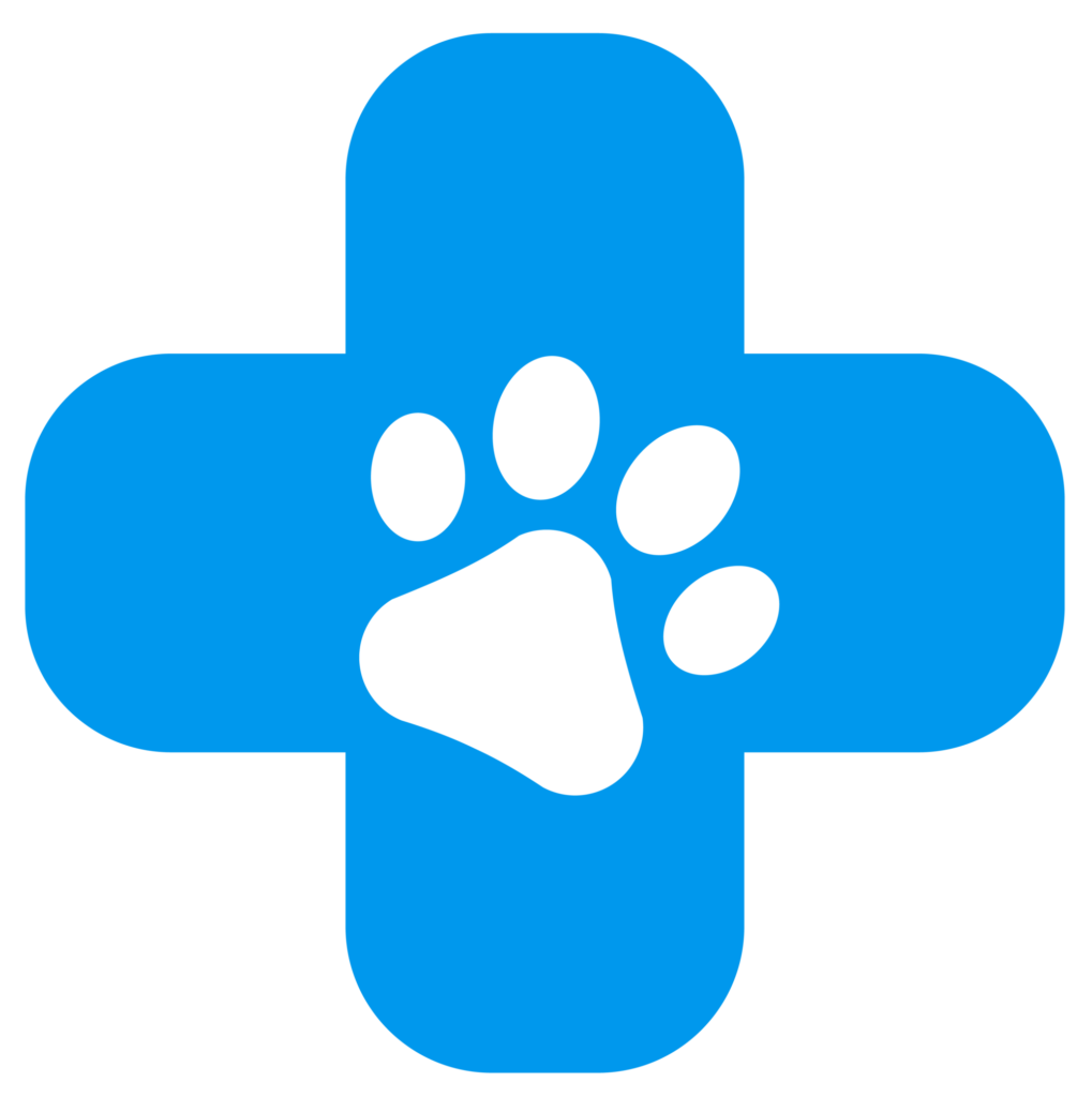 What is the Difference Between TTA and TPLO Surgery? - Animal ...